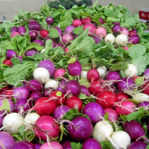 Radish, Confection Mix